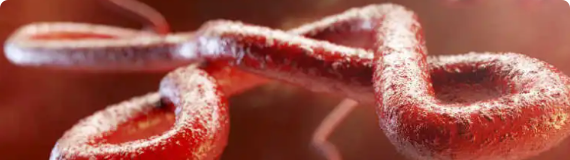 Global Catalogue of Pathogens