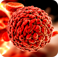 Global Catalogue of Viruses
