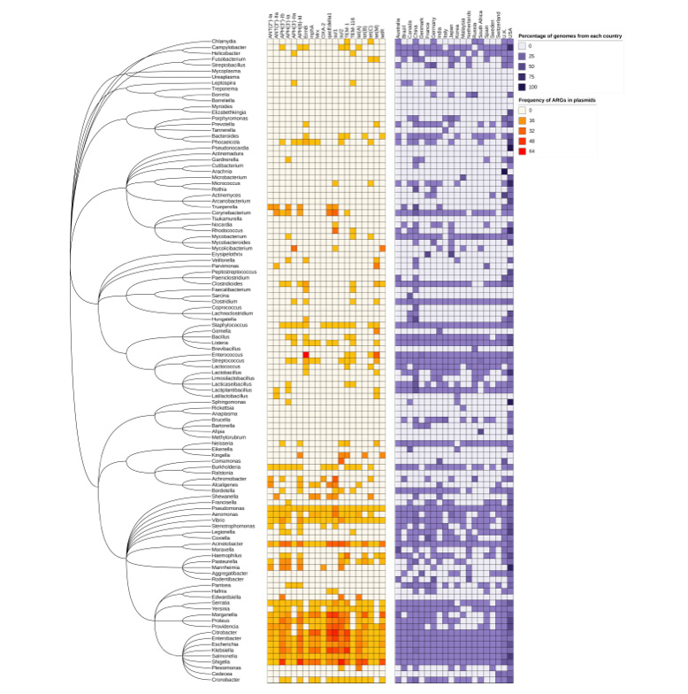 Plasmids in Pathogens database