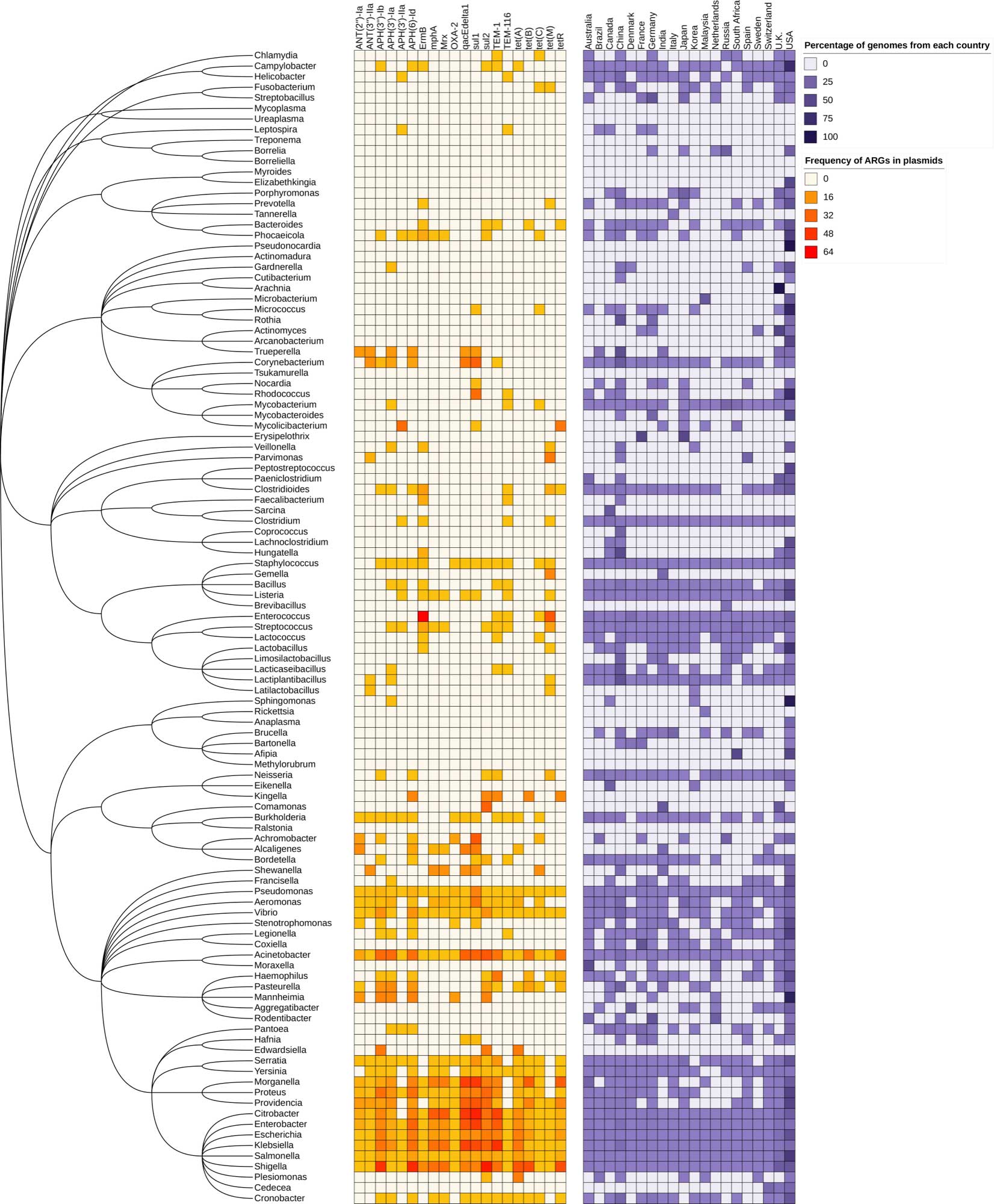 Plasmids in Pathogens database