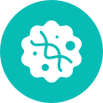 World Data Centre for Microorganisms