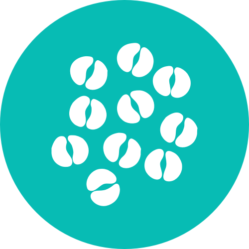 World Data Centre for Microorganisms